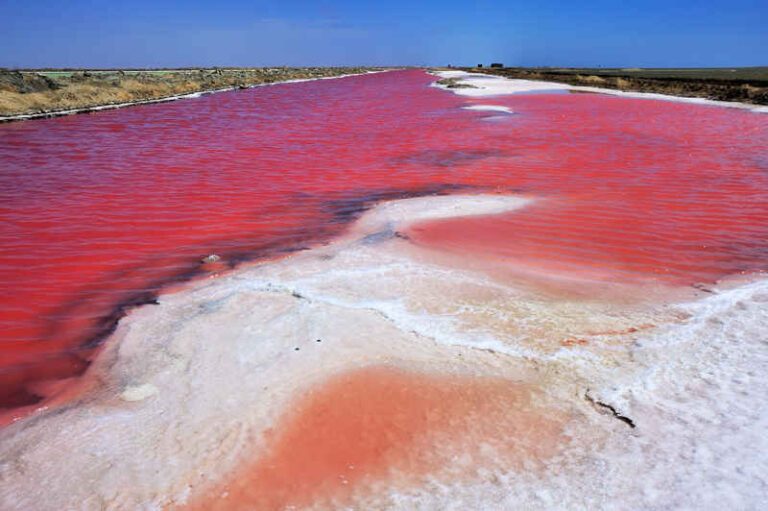 Walvis Bay : Le Joyau Côtier de Namibie 🐚🌊